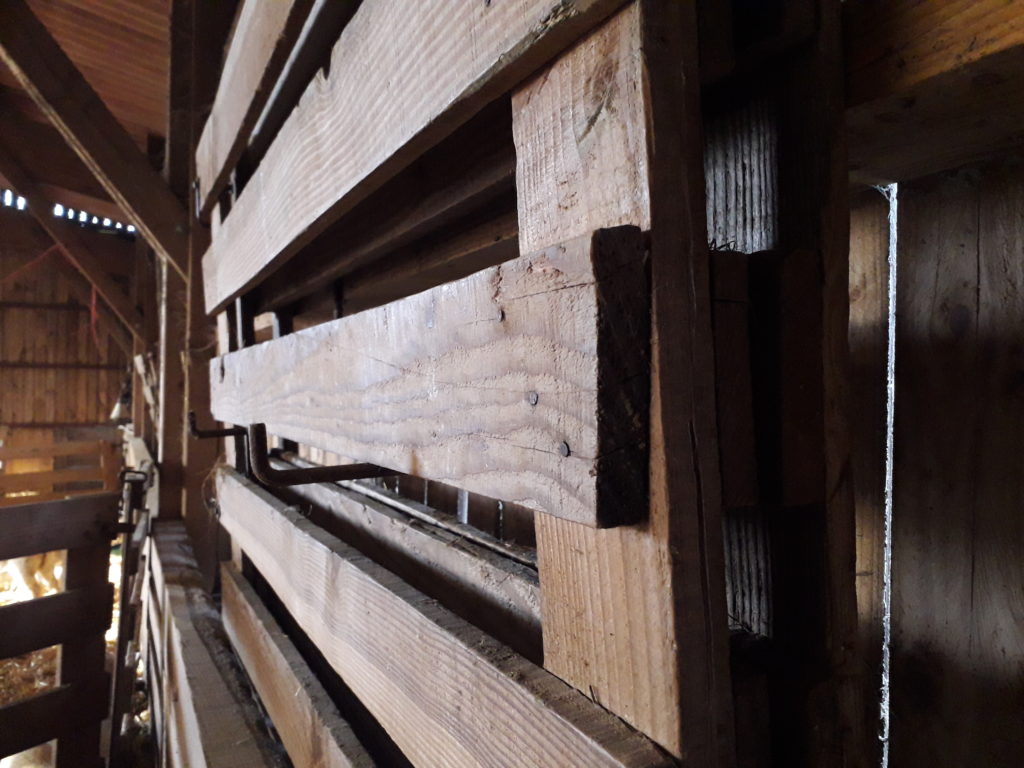 La chronique ovine : Du nouveau sur Equip’InnOvin - Inn'ovin