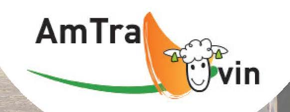 » amtrav