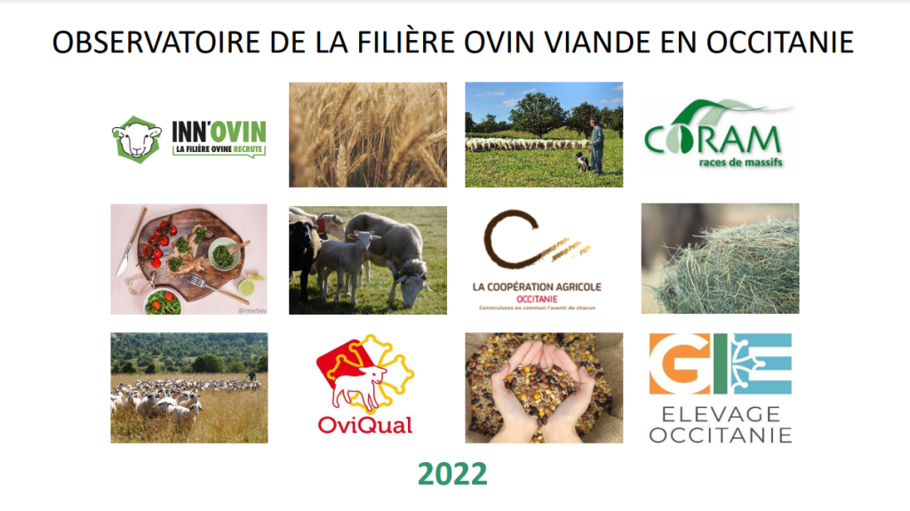 » observatoire_ovin_occitanie_2022